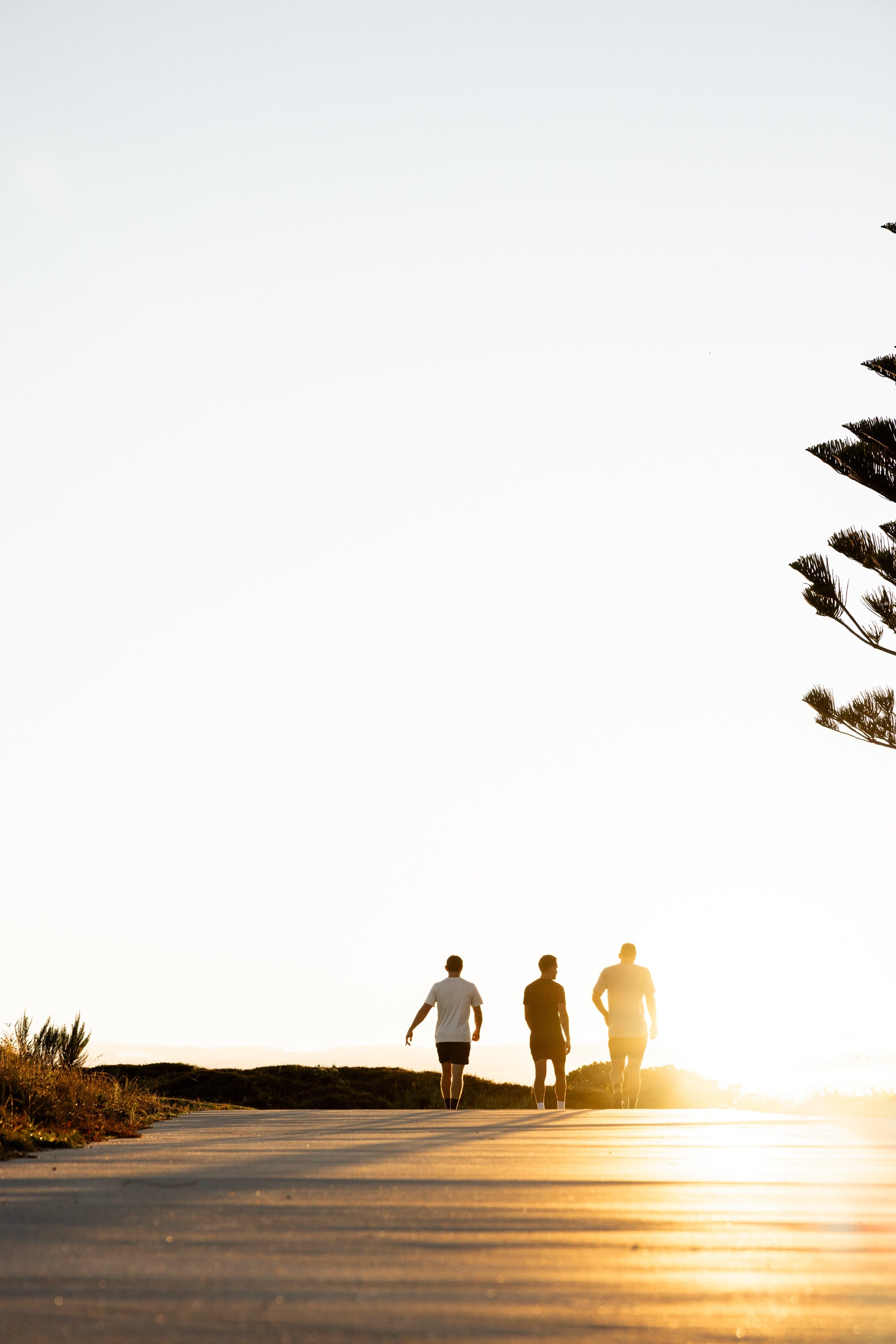 Protein Coffee – Innerbloom Cold Brew Coffee